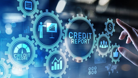 Masri Holding - Credit Information